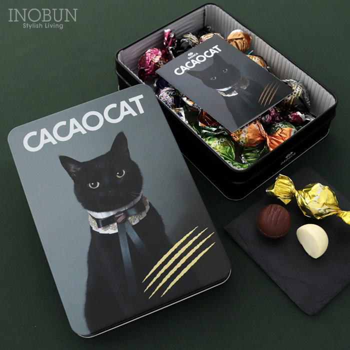 CACAOCAT 缶 14個入り CAT チョコレート DADACA プレミアム ねこ