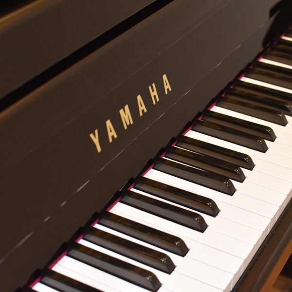 YAMAHA b113