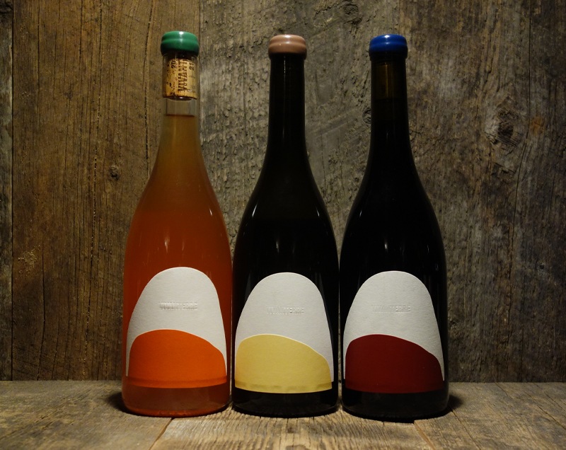 コンタクトSGU 2021 Contact SGU 2021 / Vivanterre | ワイン,フランス | ethelvine