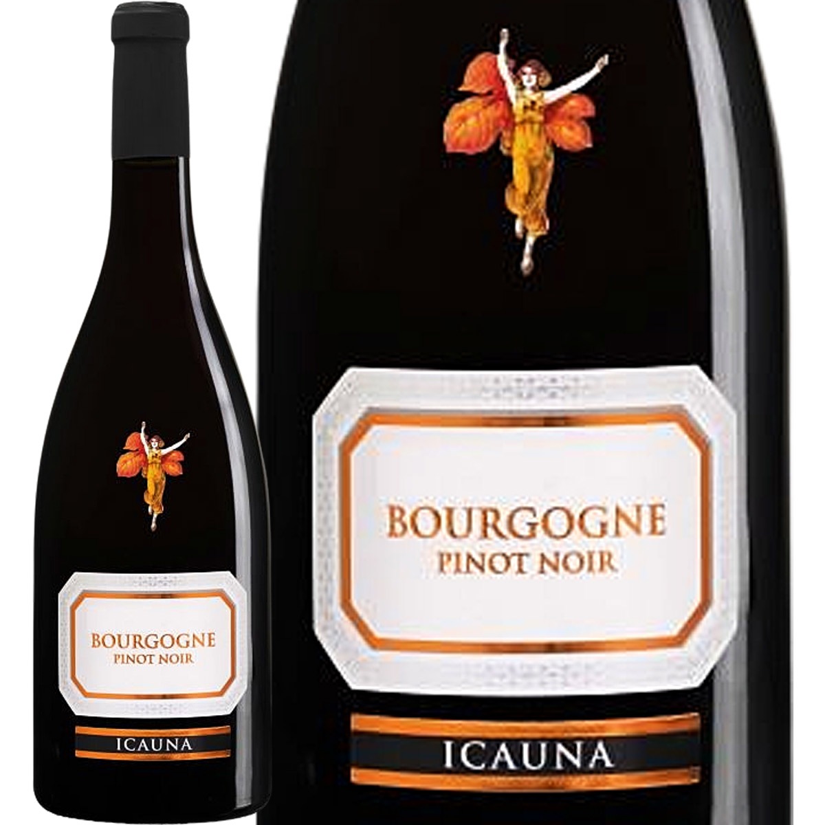 ブルゴーニュ・ピノノワール "イカウナ" 2021 | 種類別に探す,赤ワイン | 業務用ワイン卸仕入れ専門店EVAWINE