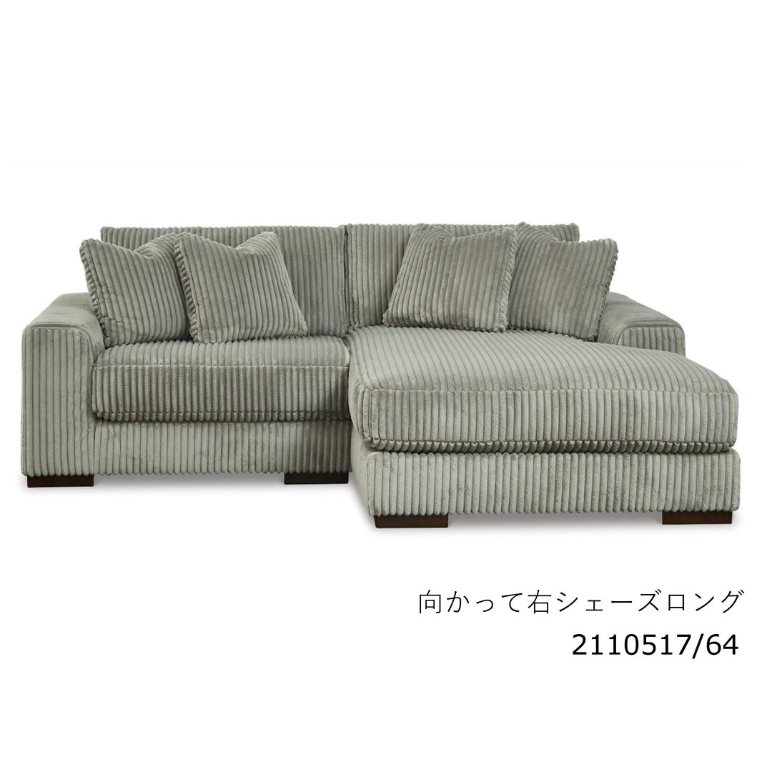 【ASHLEY】Lindyn 2-Piece Sectional with Chaise [size:W255 D178 H97cm ...
