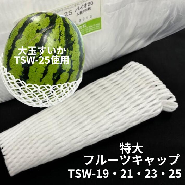 【超特大】バイオ フルーツキャップ TSW-19 TSW-21 TSW-23 TSW-25 白 【ダブル】【100個】バイオプラスチック 果物 緩衝材 保護材 発泡 ネット メロン マスカット ...