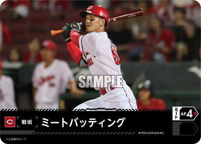 【TBP01-C】PDO-02 ミートバッティング C【バット：黒】 | 戦術カード | ドリームオーダー専門店フルアヘッド