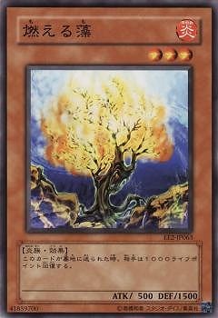 第4期/EE2-JP063 燃える藻 | 遊戯王OCG,【OCG】再販カード,EXPERT EDITION(EE),EXPERT EDITION Volume.2(EE2) | 遊戯王専門店 ...