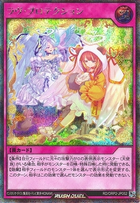 オーバーラッシュパック2(RD/ORP2)