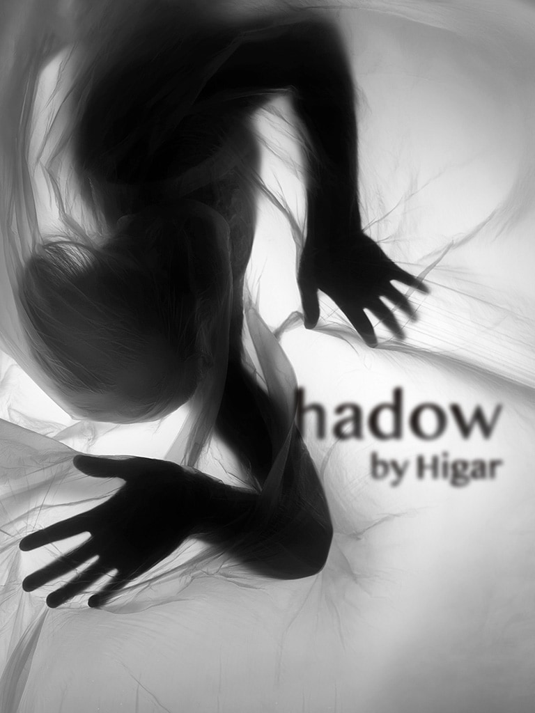 Shadow by Higar