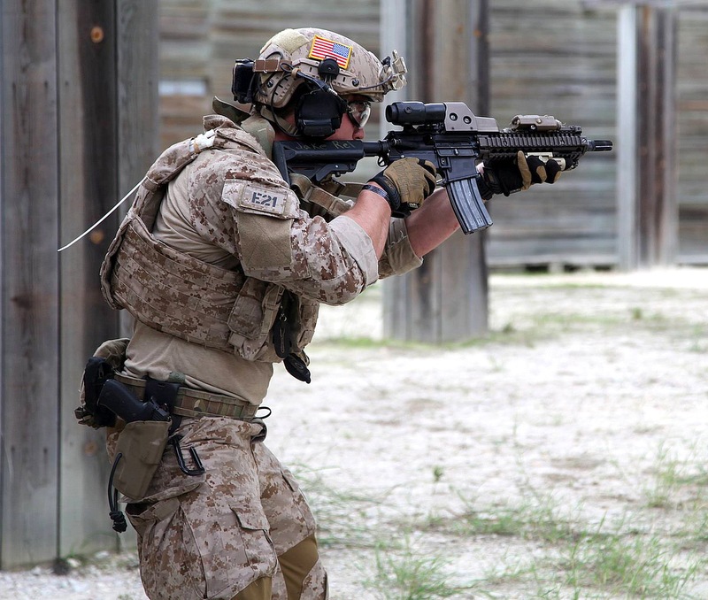 EOTECH L3 G23 MAGNIFIER | MOUNTS / GRIPS / SIGHTS,EOTECH | 特殊部隊エリート ...