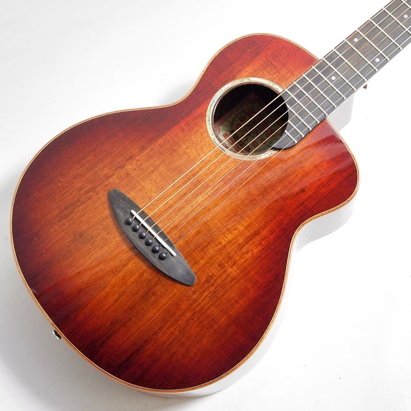 aNueNue aNN-M88IT アコースティックギター〈アヌエヌエ〉 | Acoustic/Classic,Others | | 楽器de元気