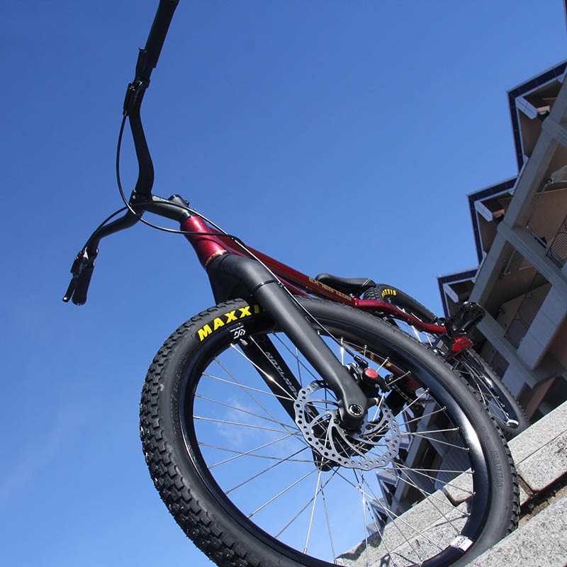 EXTENTION - ALTER | 完成車,Street 24 | GOLDRUSH AJITO