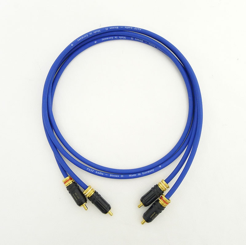BICX2/1MP(1.0m) / FAST AUDIO 売約済