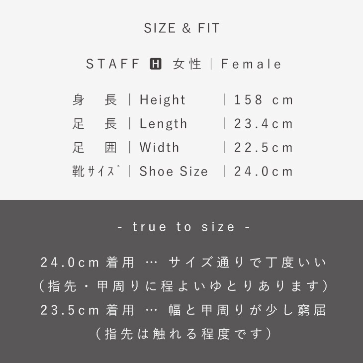 VANS Premium｜Old Skool Lx Reissue 36 Jacquard Knit/ ヴァンズ