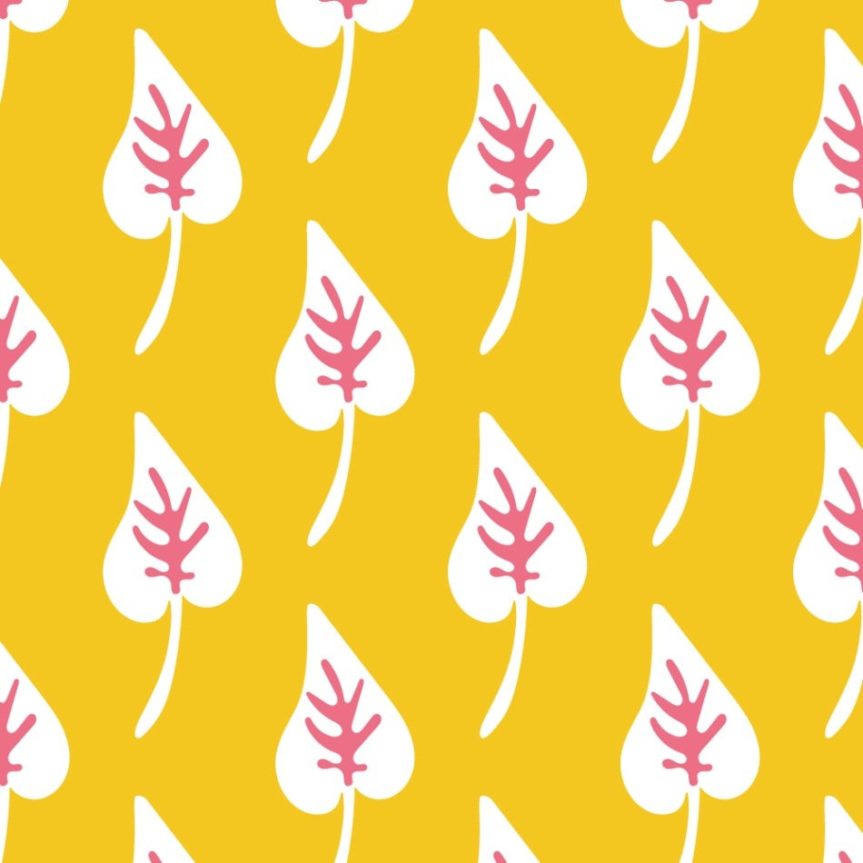 PAC008 | Paca | Armsオンラインショップ