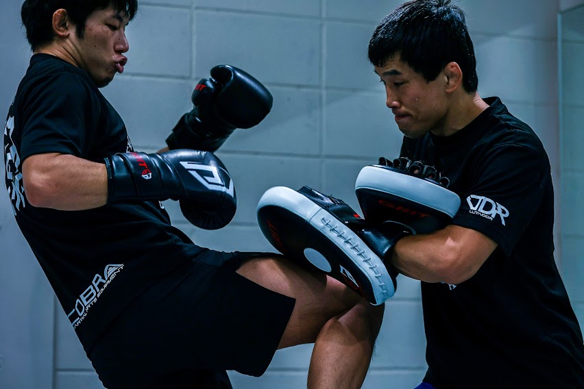 GRIT LONG FOCUS MITTS （High spec model）1 pair 1ペア 左右セット | 競技別商品,ボクシング ...