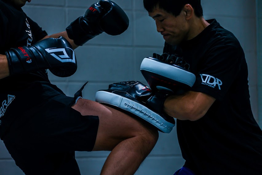 GRIT LONG FOCUS MITTS （High spec model）1 pair 1ペア 左右セット | 競技別商品,ボクシング ...