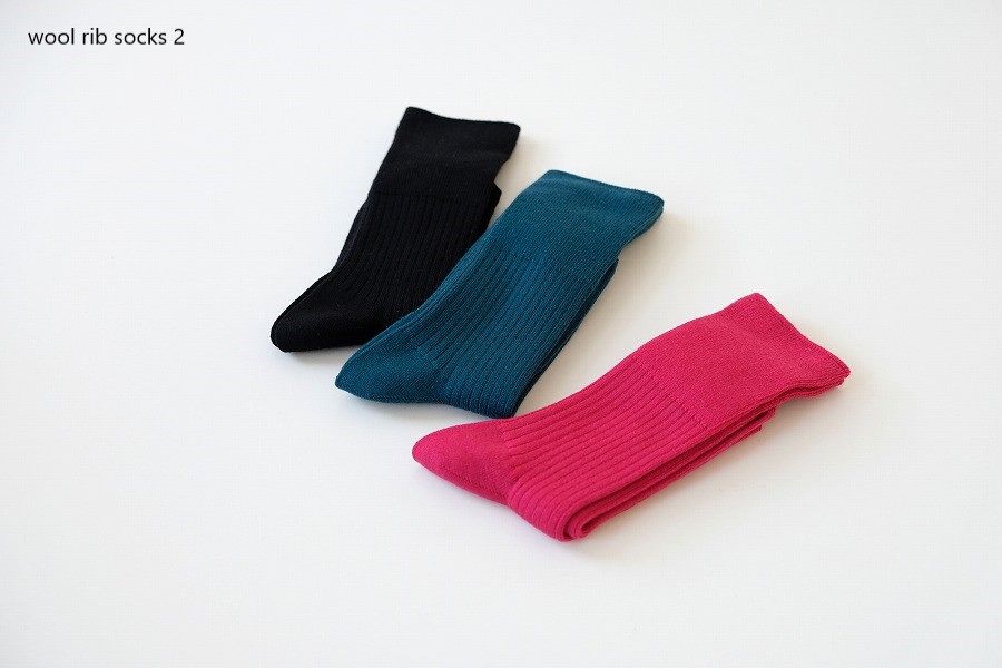 wool rib socks 2 | lady's | 靴下のhacu