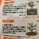 果樹・花木の肥料（PROTOLEAF） 700g ｜肥料04-TU | 用土・肥料,肥料・活力剤 | 赤塚植物園オンライン 花の音