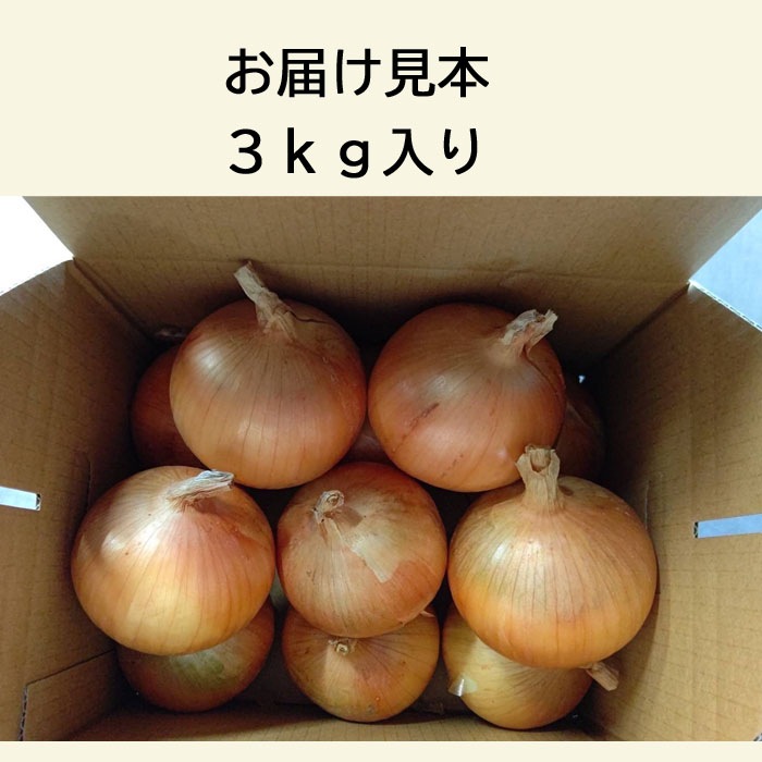 玉ねぎ 淡路島 【青果】3kg 洲錦 （しまにしき） たまねぎ タマネギ オニオン onion 淡路島産 【送料無料】 | 青果 | 花の大和 ...