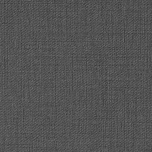 サンゲツ TH32479 スーパー耐久性 織物調 【15m/30m/道具付/道具無】選択 生のり付き壁紙 FAITH セット販売（購入単位：セット） | 壁・床・窓のDIYリフォームなら【ハロハロ】