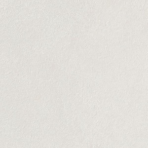 サンゲツ TH32002 自然の景観 石目調 【15m/30m/道具付/道具無】選択 生のり付き壁紙 FAITH セット販売（購入単位：セット ...