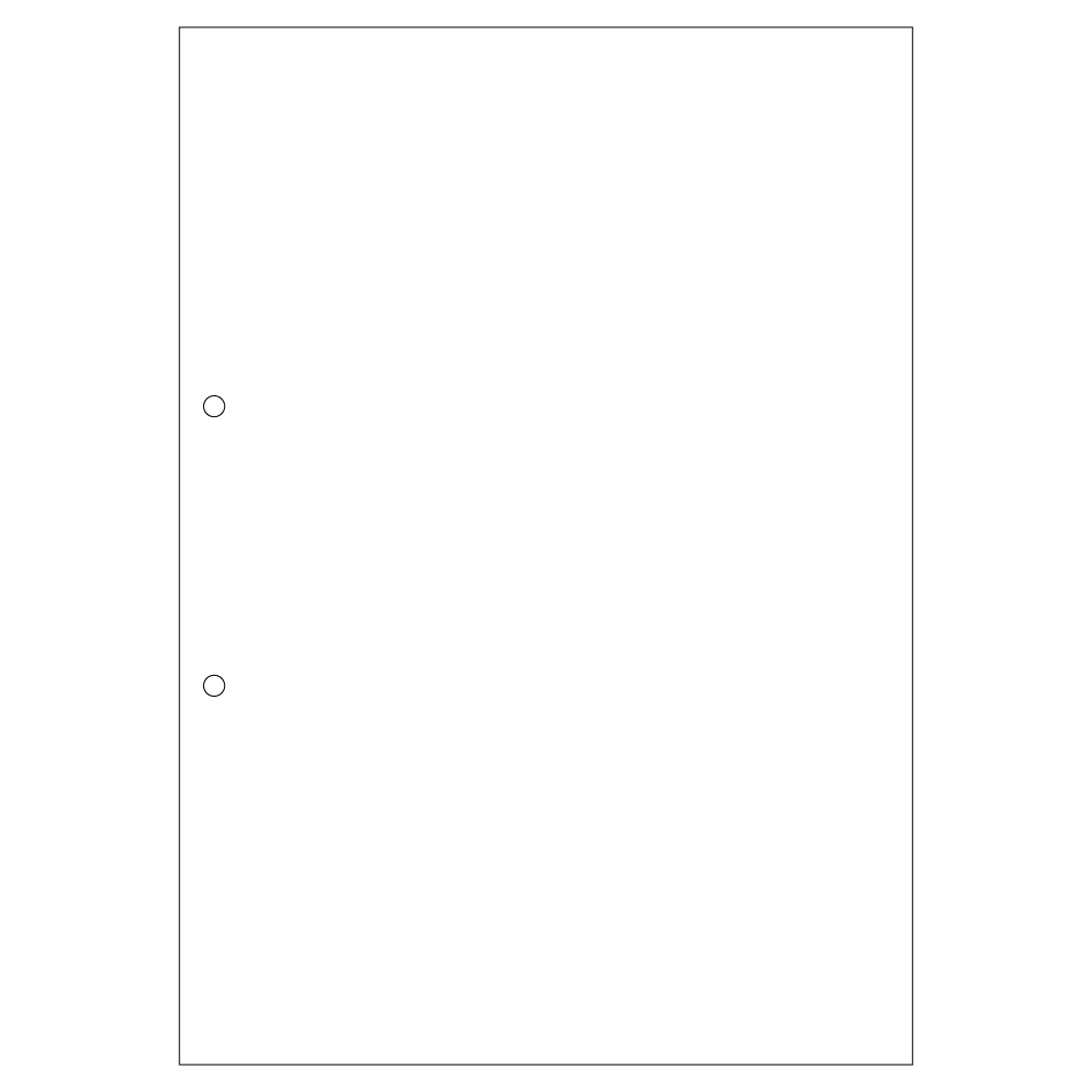 FSC(R)認証 マルチプリンタ帳票 複写タイプ A4 ノーカーボン 白紙 2穴 |ヒサゴオンラインショップ（HISAGO）