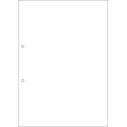 FSC(R)認証 マルチプリンタ帳票 A4 白紙 2穴 |ヒサゴオンラインショップ（HISAGO）