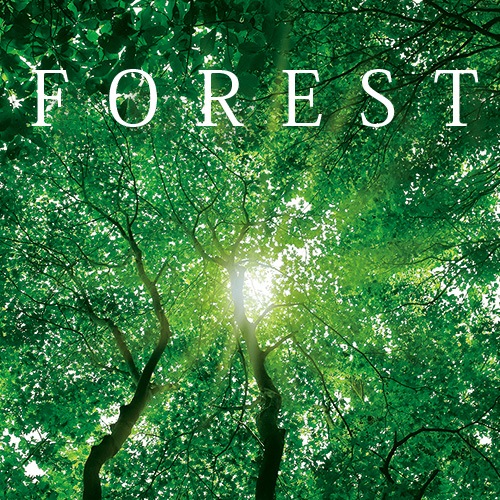 FOREST CD 4枚組 : FOREST CD 4枚組 - くみあいショッピング