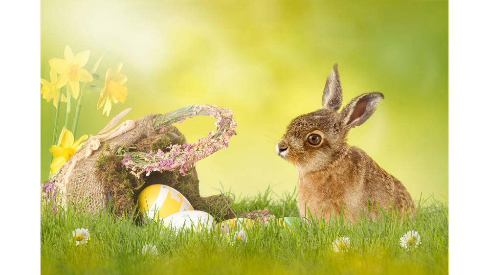 イースターエッグバニー/Larssons Tra ラッセントレー | インテリア | Livet Plaza