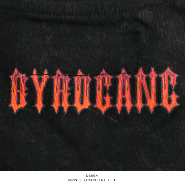 REASON × Dipset Tシャツ 限定 コラボ 半袖 メンズ 春夏用 黒 大きいサイズ ディプセット The Diplomats ...