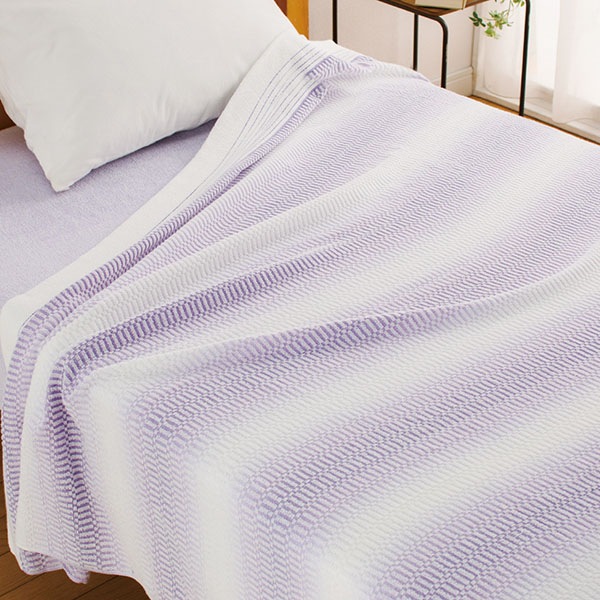 西川 タオルケット2枚セット 【送料無料】 【約5～7営業日】 | 寝具・繊維ギフト | 香典返し専門店 穂乃香 ほのか