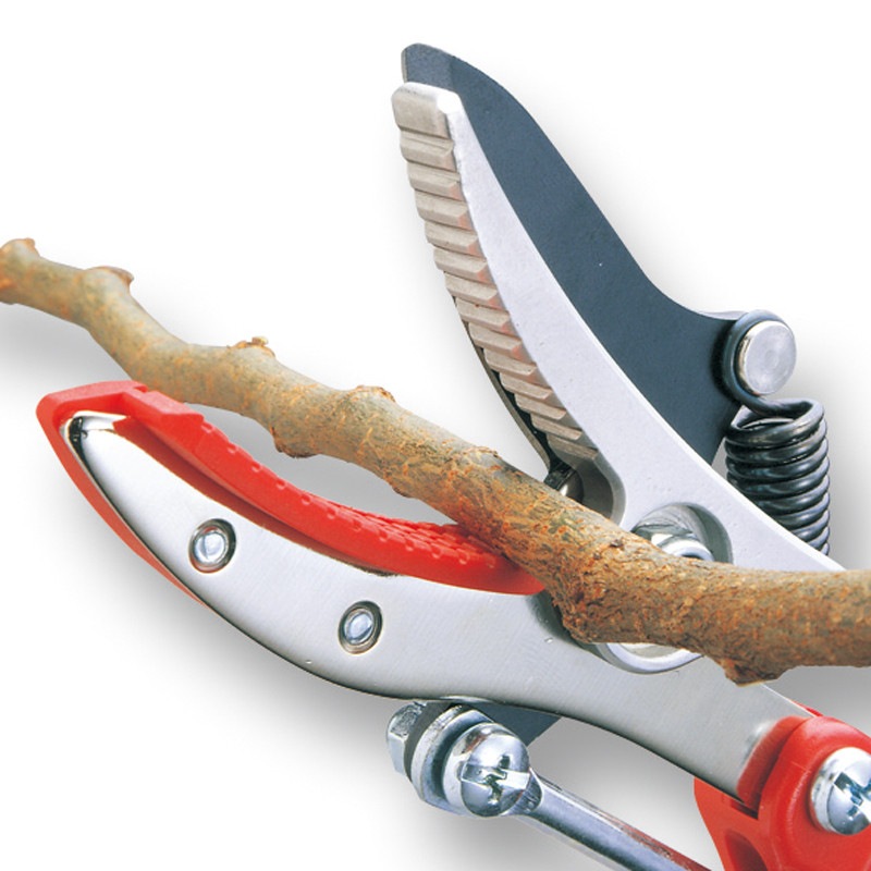 アルス 伸縮式高枝鋏ズームチョキKタイプアンビルつかみ付き 184ZKA-3.0-5D ｜金象印の公式通販サイト【金象本舗】