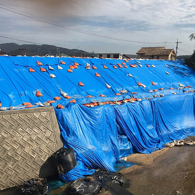 萩原工業 ターピー エコフレンドシート L#3000 3.6m×5.4m ｜金象印の公式通販サイト【金象本舗】