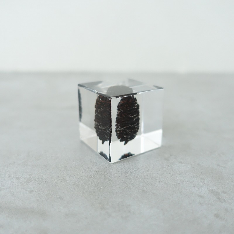 ウサギノネドコ Sola cube (wa23-2505-5)【60F52】 /ナチュラル服古着通販drop