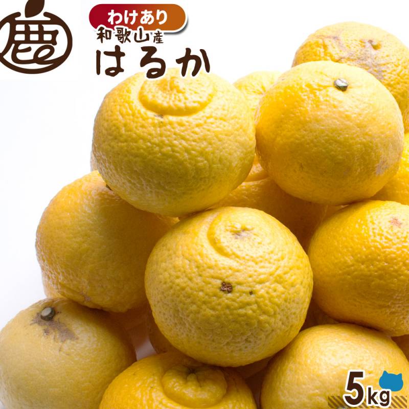 はるか | 池田鹿蔵農園