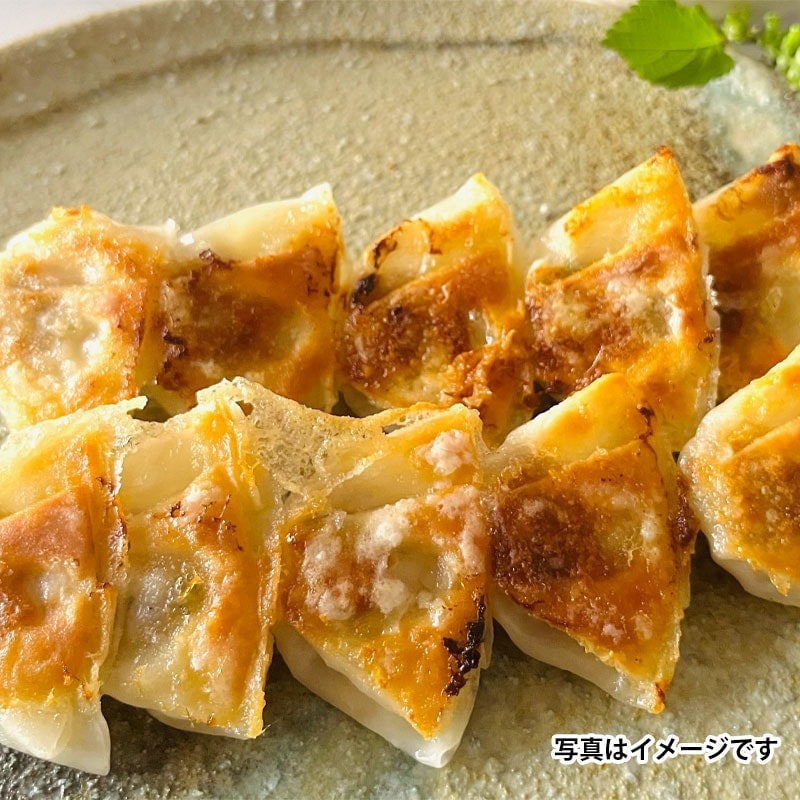 送料無料 冷凍便 滋賀・牛肉商「徳志満」 近江牛ひとくち餃子 2箱160g(20個)×2 | 食品,近江牛(加工品) | IMASHIGA～イマシガ～