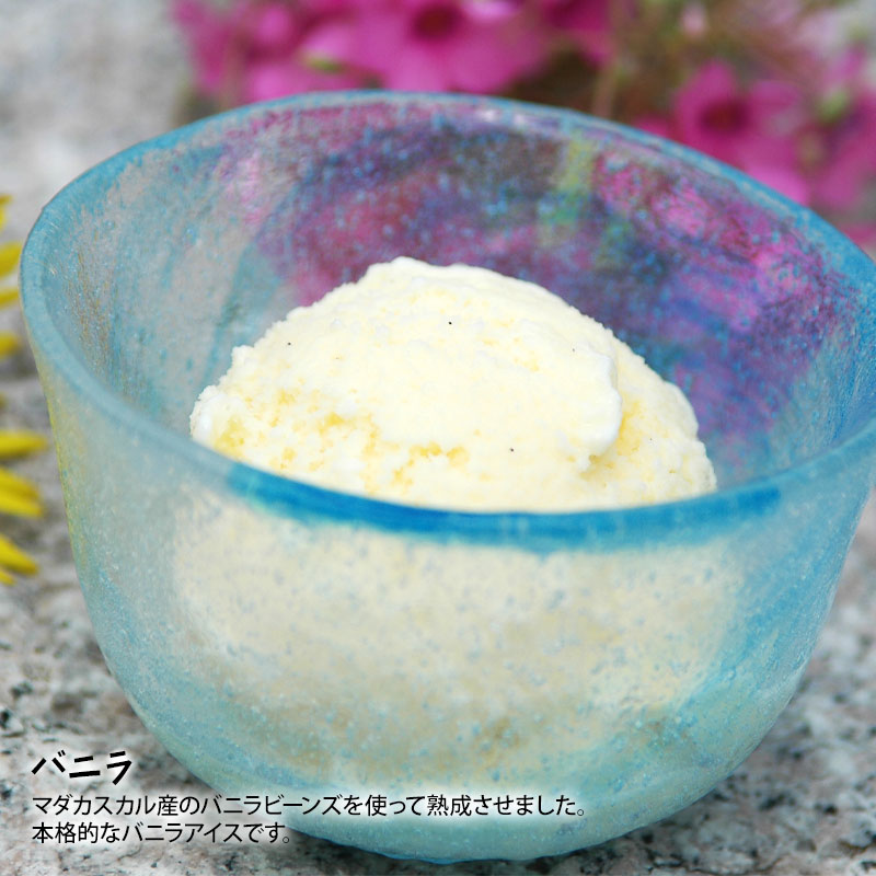 送料無料 冷凍便 池田牧場 イタリアンジェラートミニカップ 140ml×12個 | 食品,アイスクリーム | IMASHIGA～イマシガ～