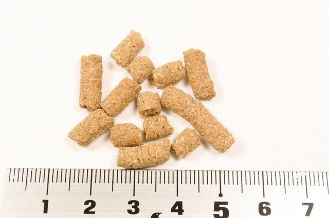 【200g】仙の晩餐 鹿肉 プレミアム ロウレシピ | フード・おやつ | INOWEBショップ