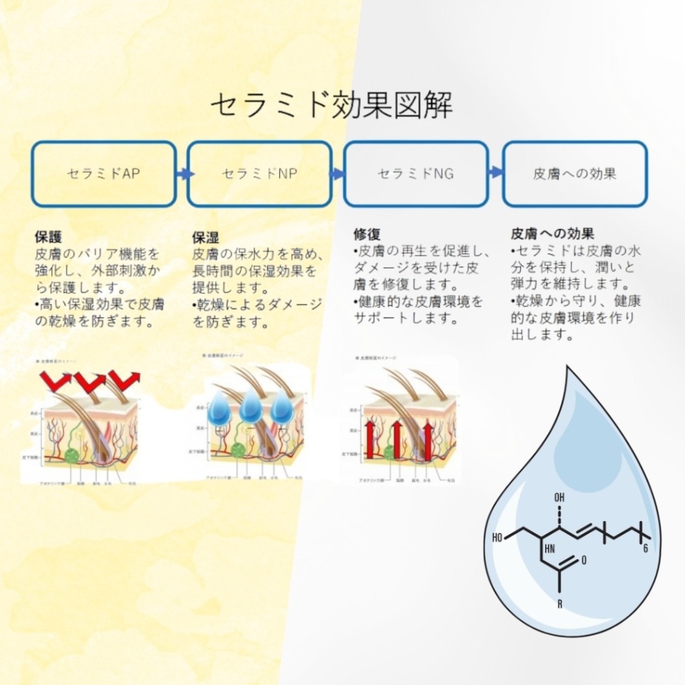 セラミドウォーター 250ml | BIOSISｹｱ | INOWEBショップ