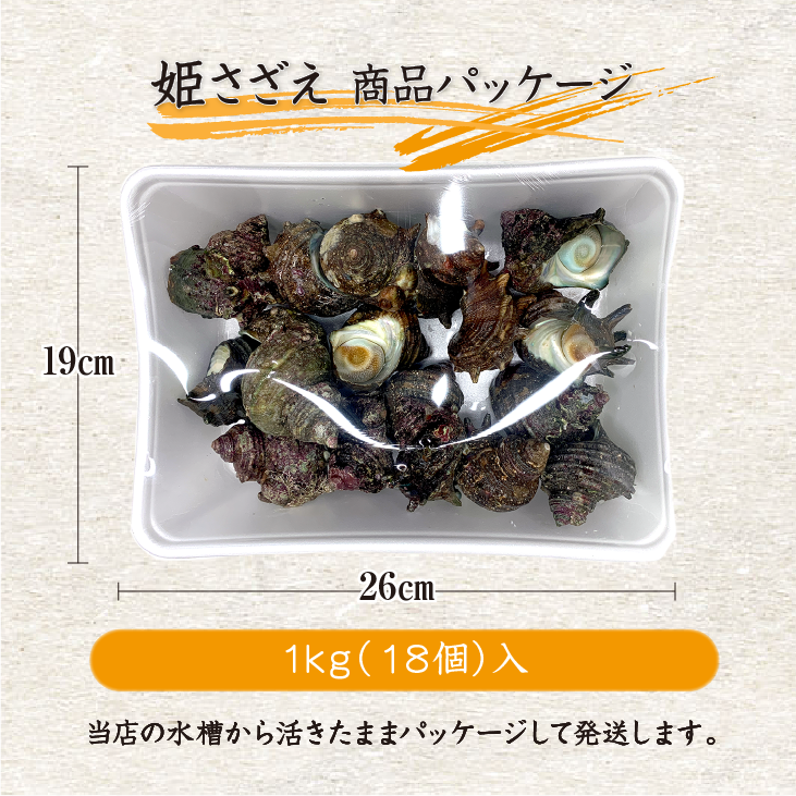 天然活 姫さざえ 少々サイズ 1kg 18個 40～60g [さざえ] | 貝類,さざえ | まるか水産公式オンラインショップ