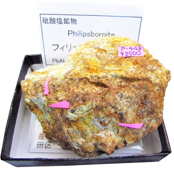 P-448 フィリップスボーン石(Philipsbornite) | 燐酸塩・砒酸塩鉱物,砒酸塩鉱物 | Mineral Shop たんくら