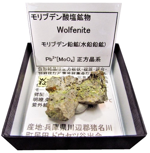 W-91 モリブデン鉛鉱(Wolfenite) | その他,モリブデン酸塩 | Mineral Shop たんくら