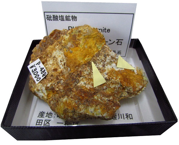 P-488 フィリップスボーン石(Philipsbornite) | 燐酸塩・砒酸塩鉱物,砒酸塩鉱物 | Mineral Shop たんくら