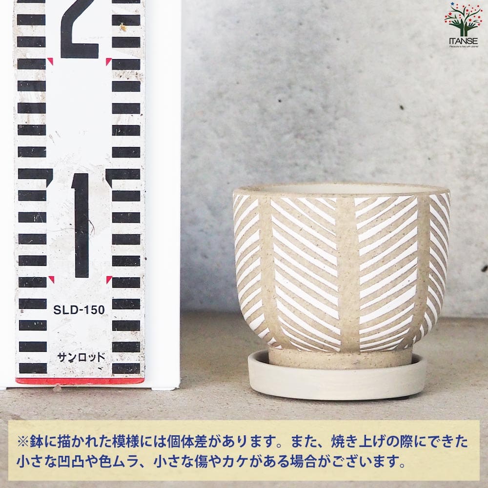 皿付陶器鉢 ヘリンボーン【資材 10cm】｜ 【植物のITANSE】全品送料無料・即出荷!