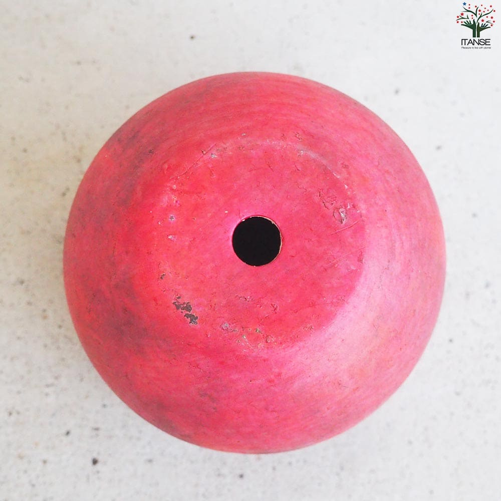 皿付陶器鉢 彩色焼磁 レッド【資材 10cm】｜ 【植物のITANSE】全品送料無料・即出荷!