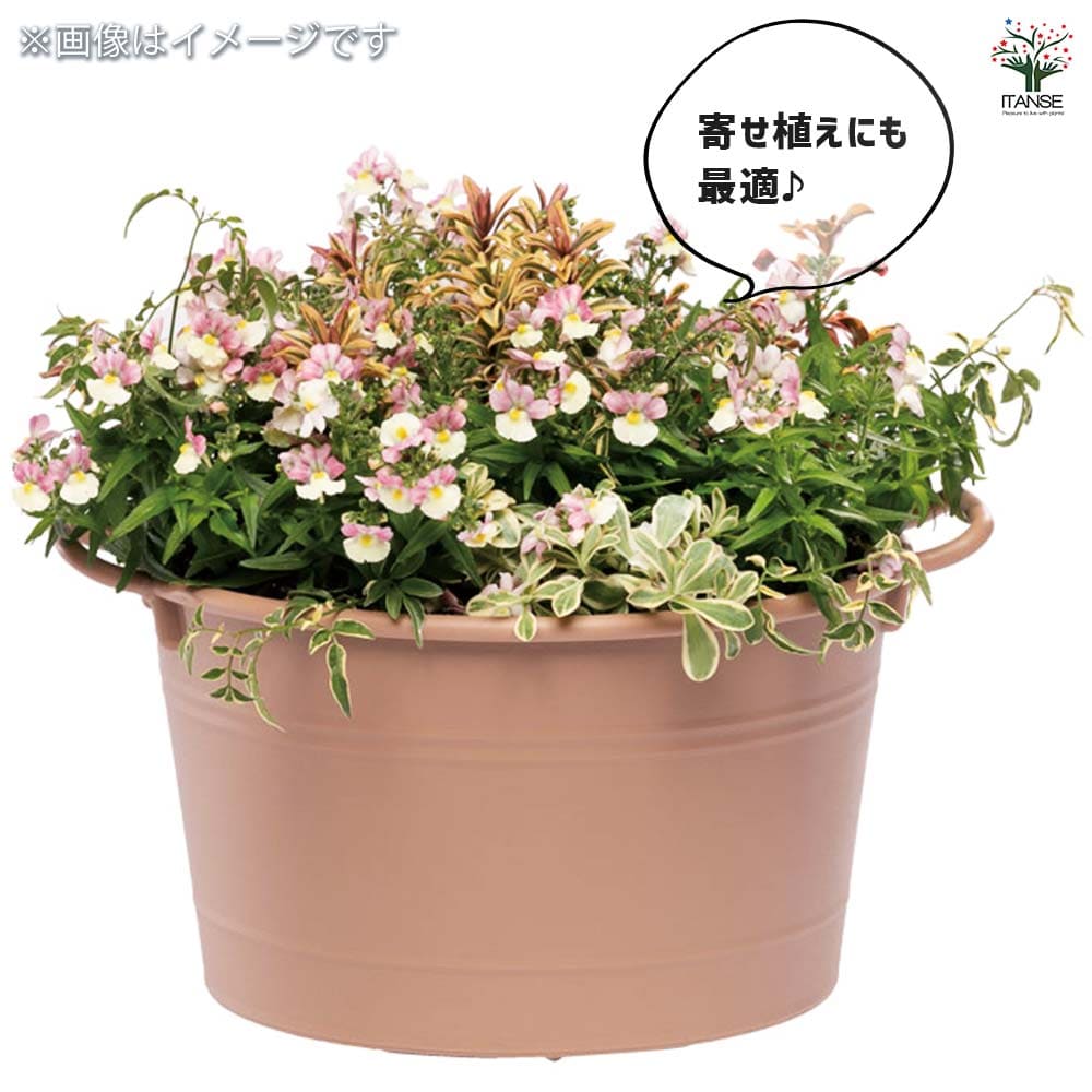 コージーバスケット ブラウン 【資材 25型】｜ 【植物のITANSE】全品送料無料・即出荷!