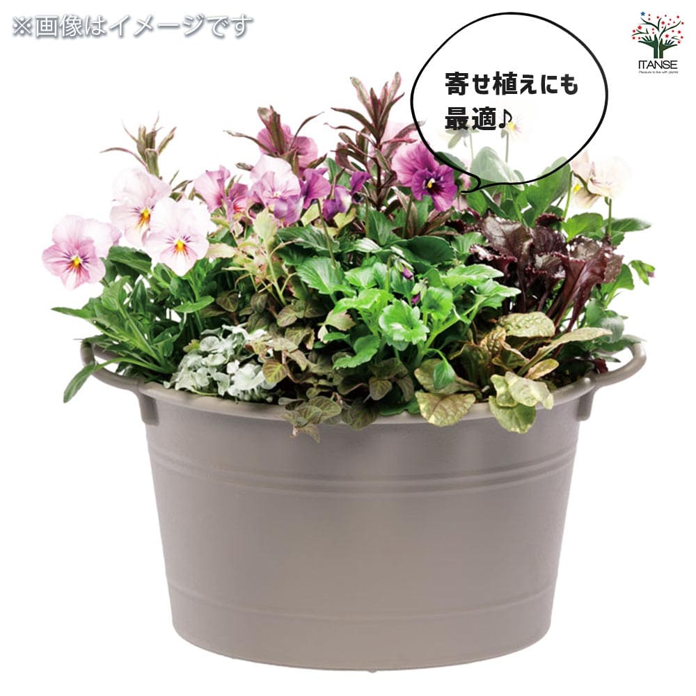 コージーバスケット グレー 【資材 25型】｜ 【植物のITANSE】全品送料無料・即出荷!