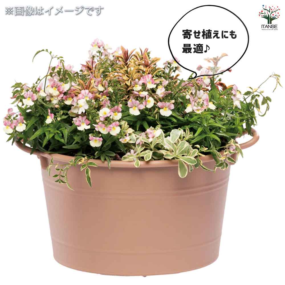 コージーバスケット ブラウン 【資材 25型&花と野菜の培養土 ふかふか仕立て5L】｜ 【植物のITANSE】全品送料無料・即出荷!