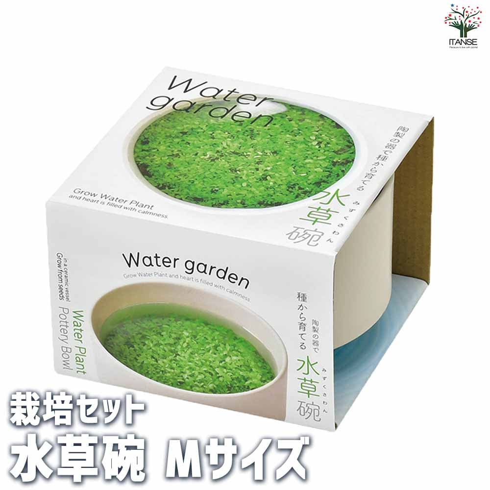 栽培セット 水草碗 【Mサイズ／1個売り】｜ 【植物のITANSE】全品送料無料・即出荷!