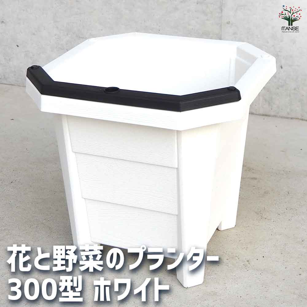 花と野菜のプランター 【プラ鉢 300型】｜ 【植物のITANSE】全品送料無料・即出荷!
