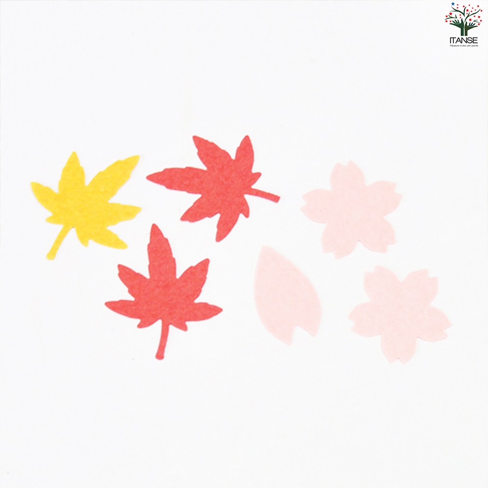 栽培セット コケ 苔日和【盆栽／1個売り】｜ 【植物のITANSE】全品送料無料・即出荷!