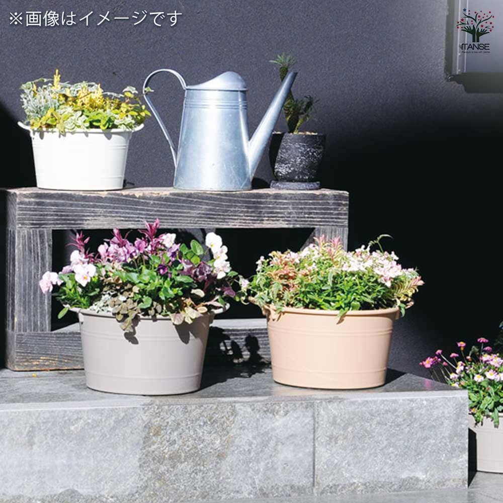 コージーバスケット グレー 【資材 20型】｜ 【植物のITANSE】全品送料無料・即出荷!